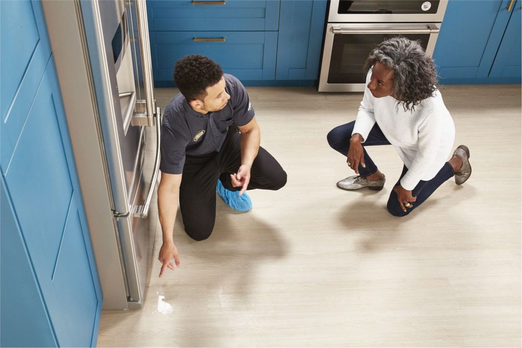 Fridge Leaking Water? Here are 3 Things to Check – Appliance Pros+