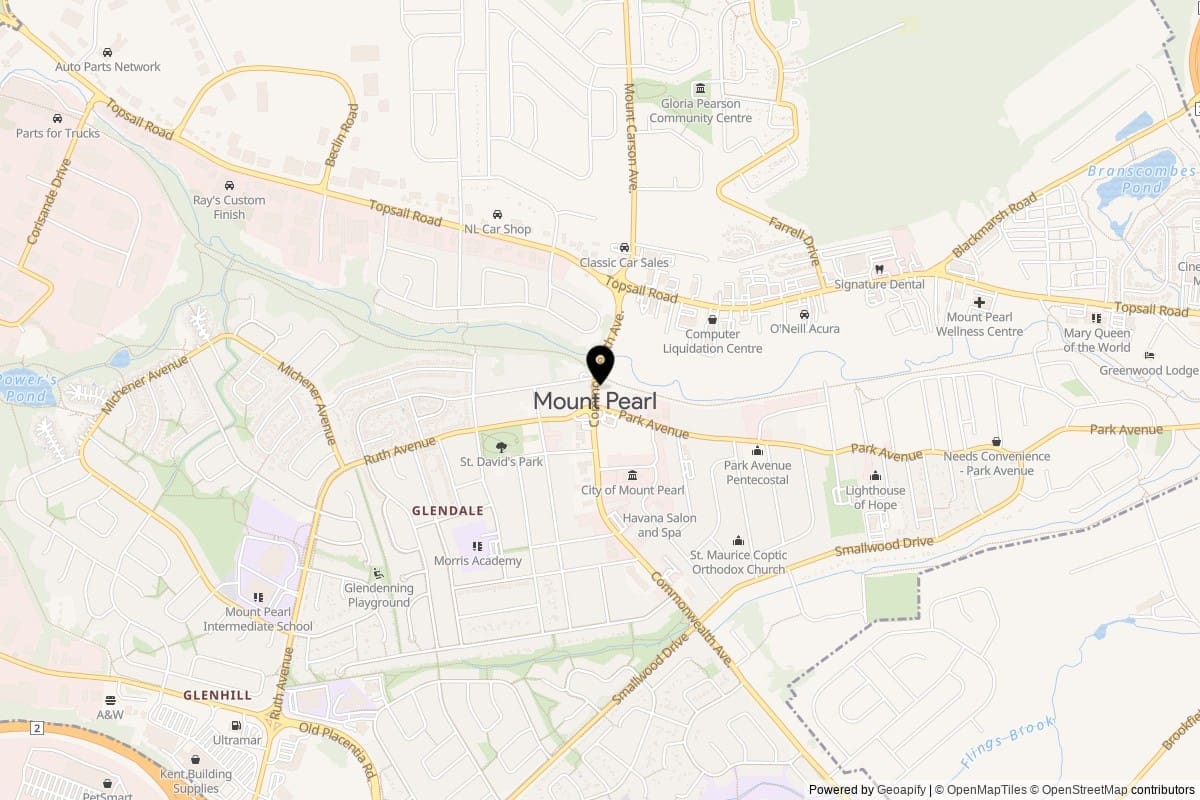 🛠️ Appliance Repair Mount Pearl: Flat Rate. No Hidden Fees- Appliance Pros+